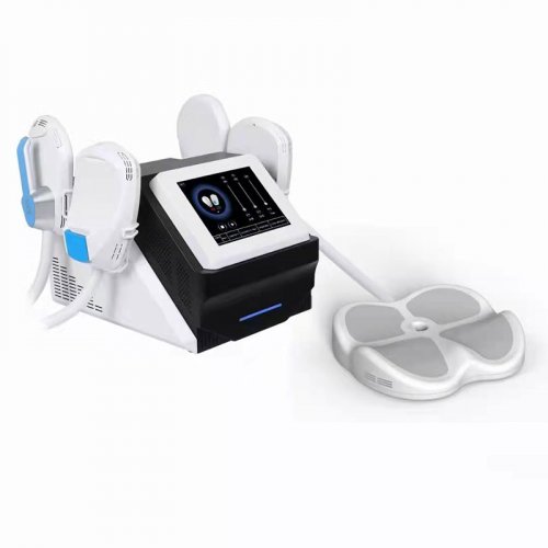 Portable Weight Loss Muscle Slimming Stimulation Body Sculpt with ...