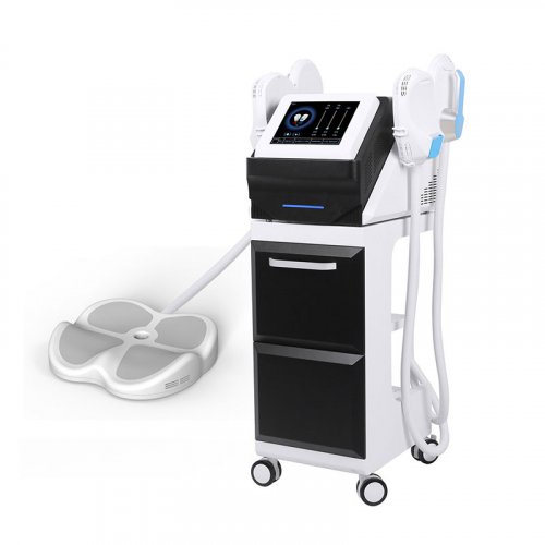 Portable Weight Loss Muscle Slimming Stimulation Body Sculpt with ...